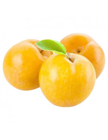 Prune jaune des Pyrénées-Orientales 500g